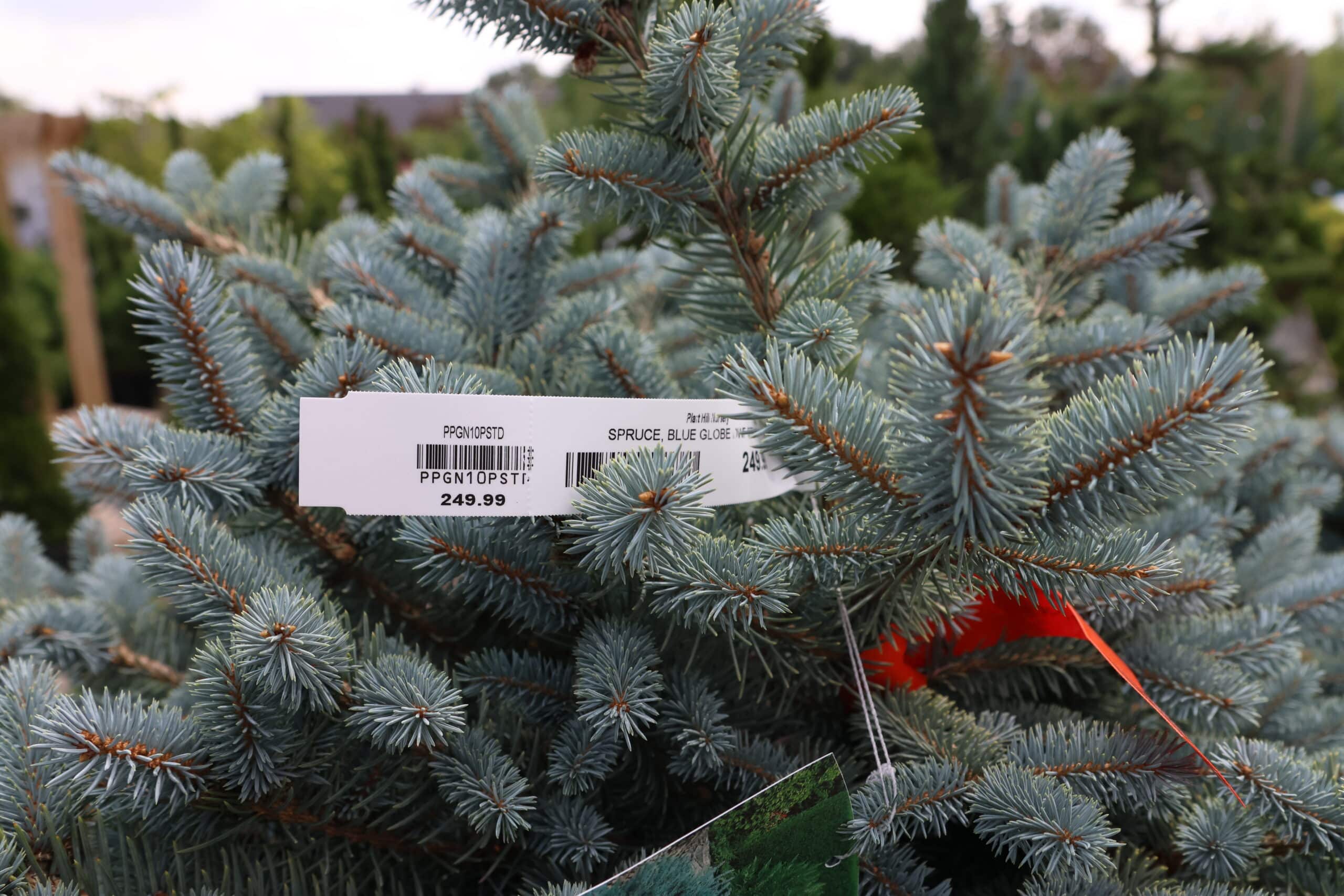 Retail Barcodes - Chicago Tag & Label